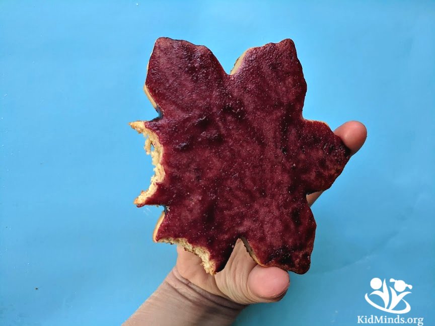 Awesome Science of Christmas Cookies (Magic Cookie Experiments) | KidMinds