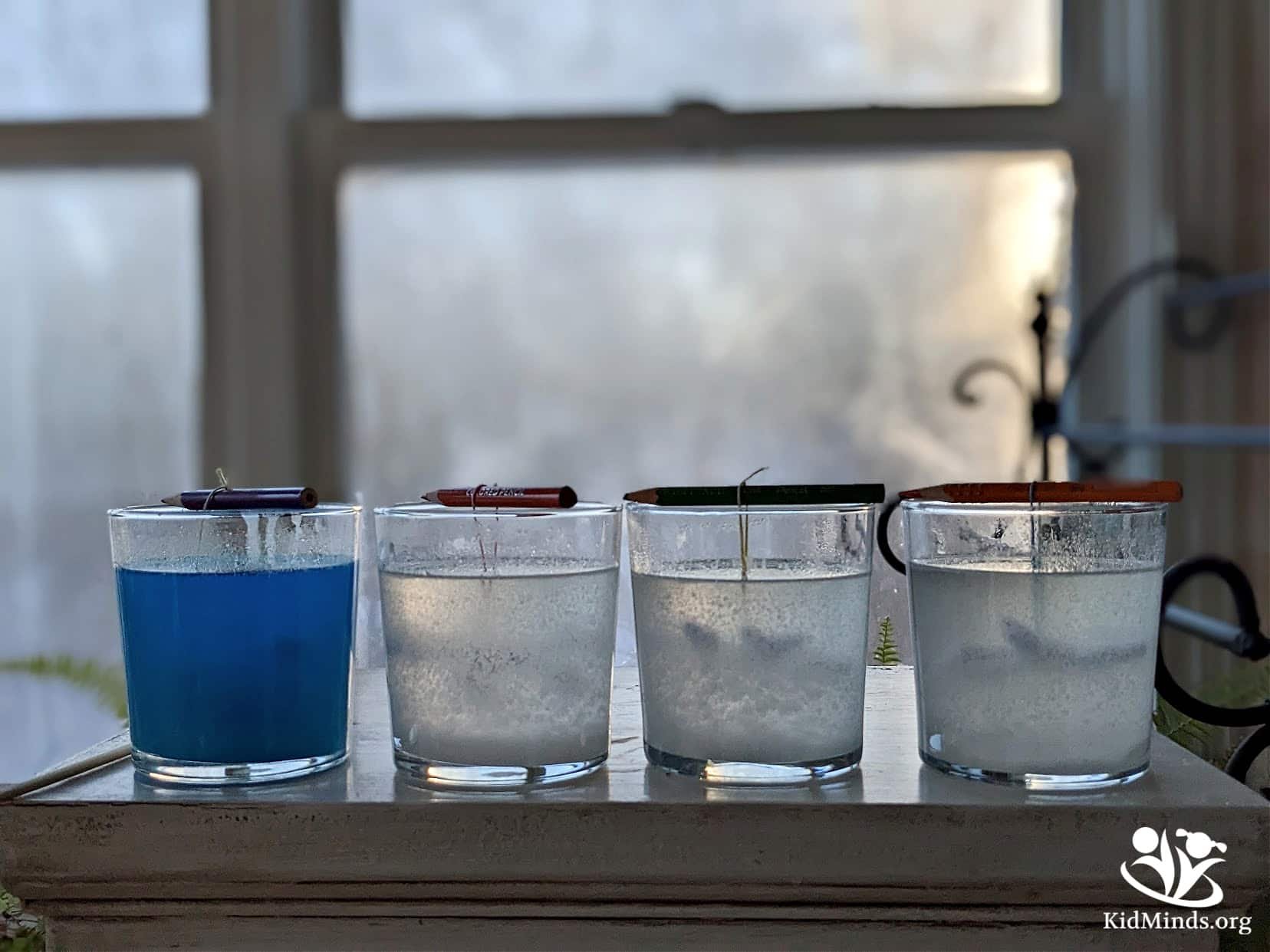 How to Make Crystal Snowflakes from Borax | KidMinds