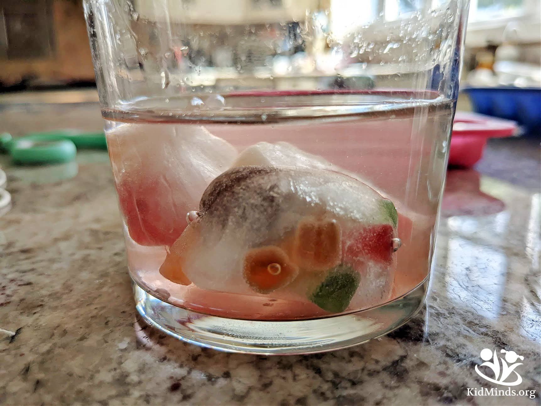 Lift Candy With Chemistry (The Best of Ice Science) | KidMinds