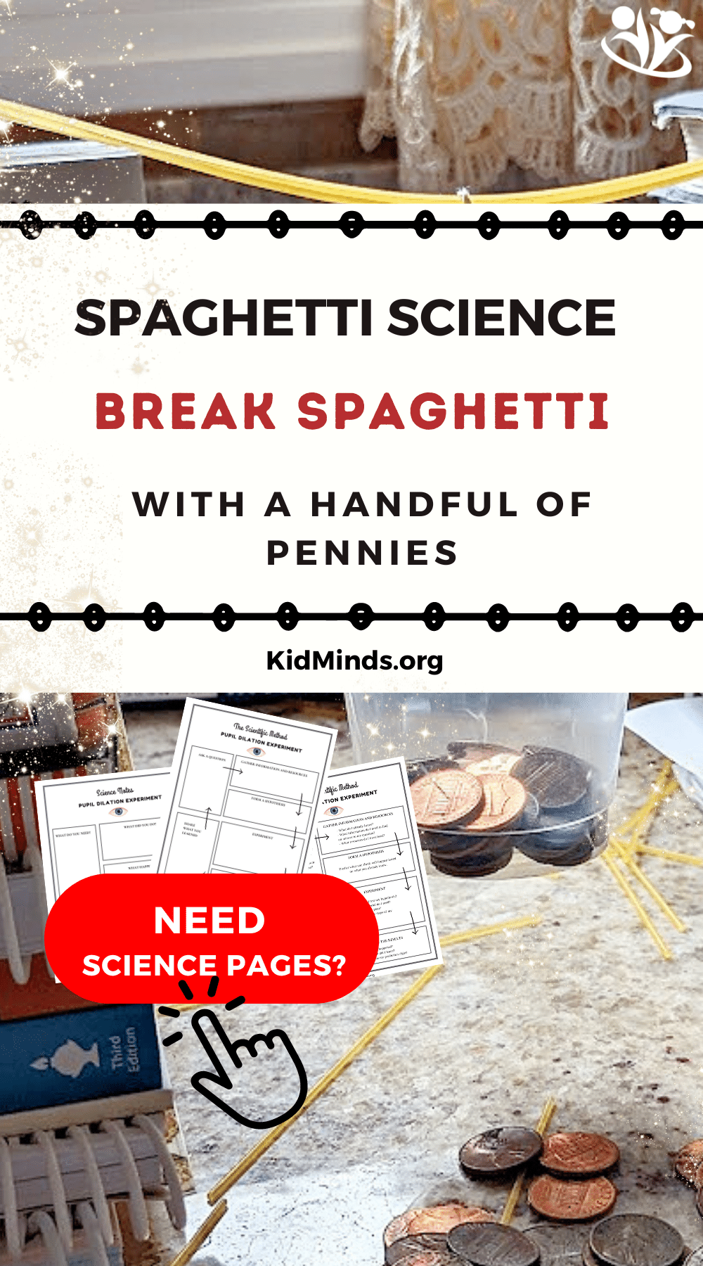 The Amazing Spaghetti Experiment: How Many Pennies Does it Take to ...