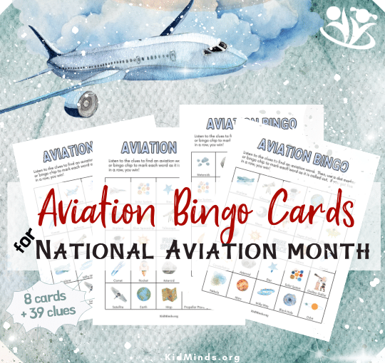 The Best Aviation Bingo With Riddle-Style Call Cards | KidMinds