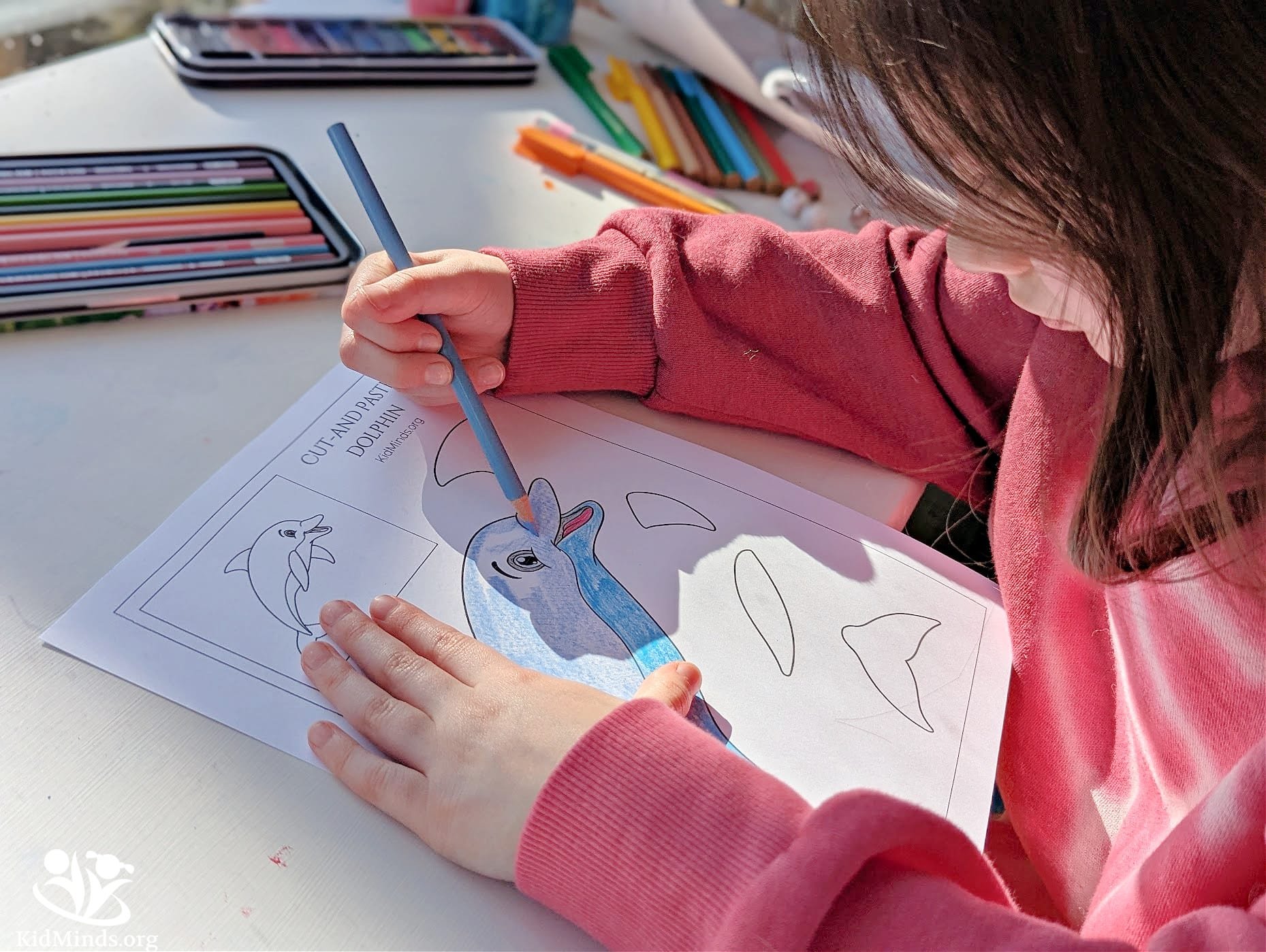 The Best Dolphin Cut-and-Paste Craft: Free PDF | KidMinds