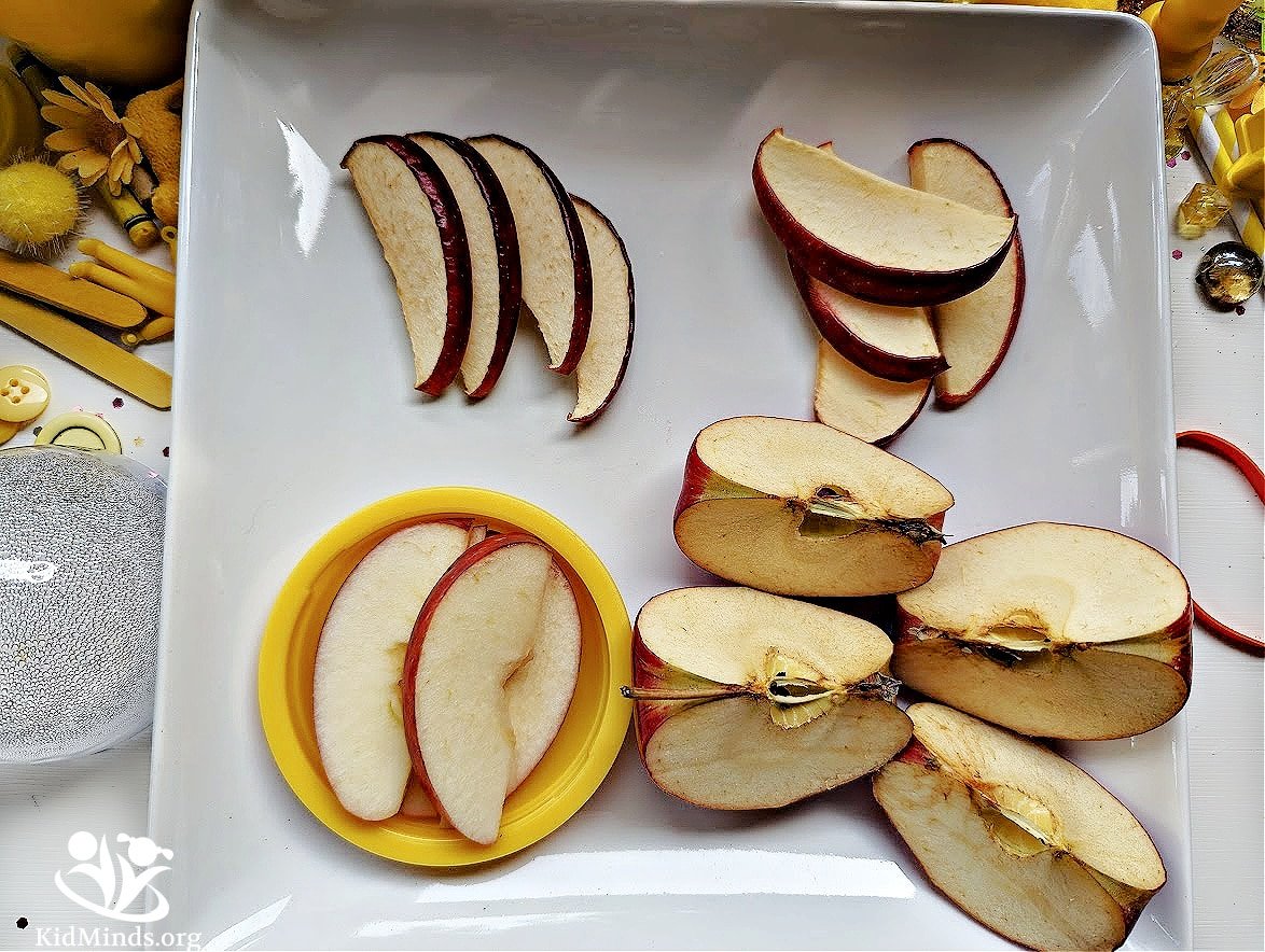 The Best and Most Amazing Apple Science | KidMinds