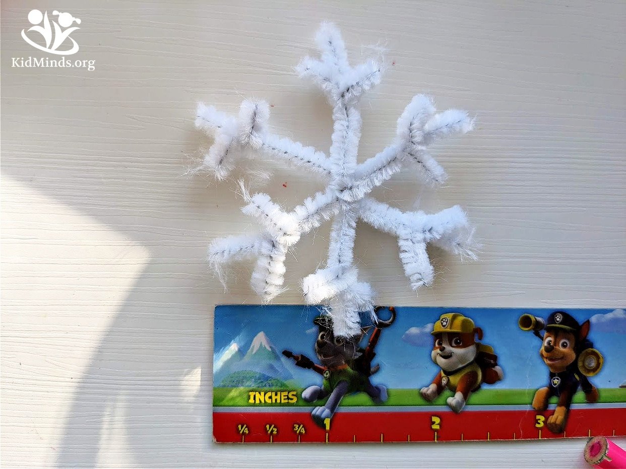 How to Make Crystal Snowflakes from Borax | KidMinds