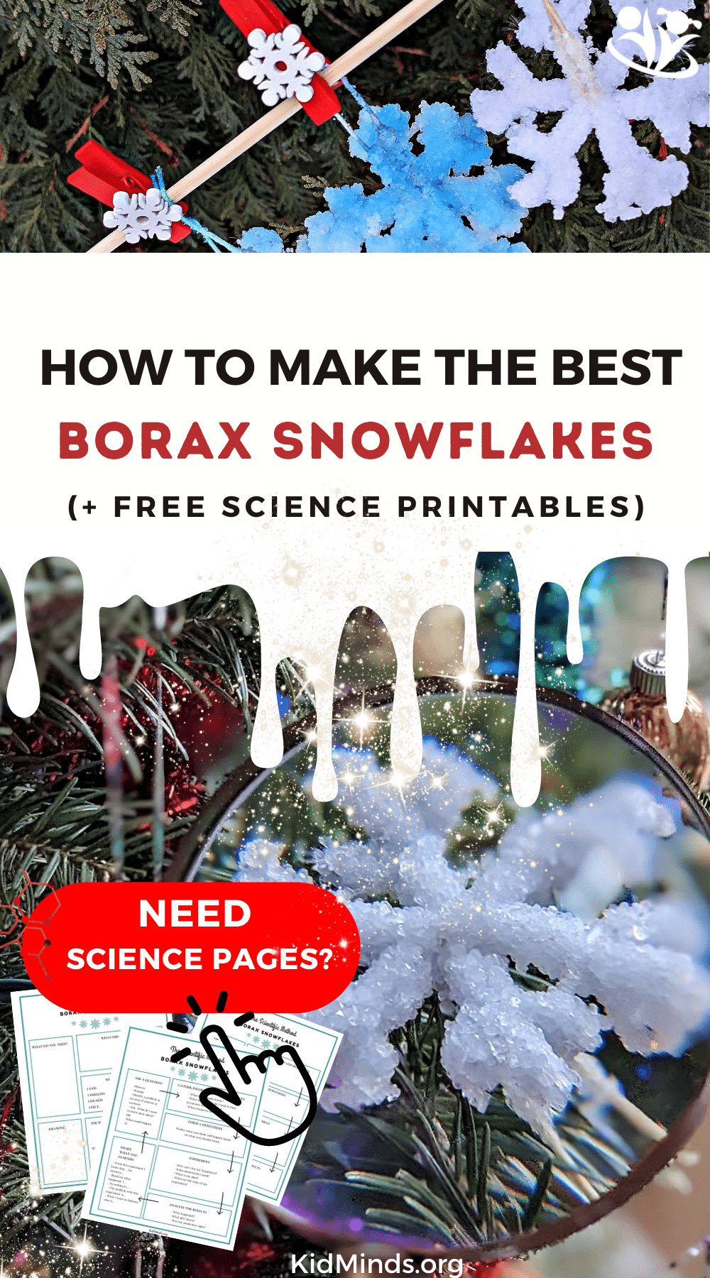 How to Make Crystal Snowflakes from Borax | KidMinds