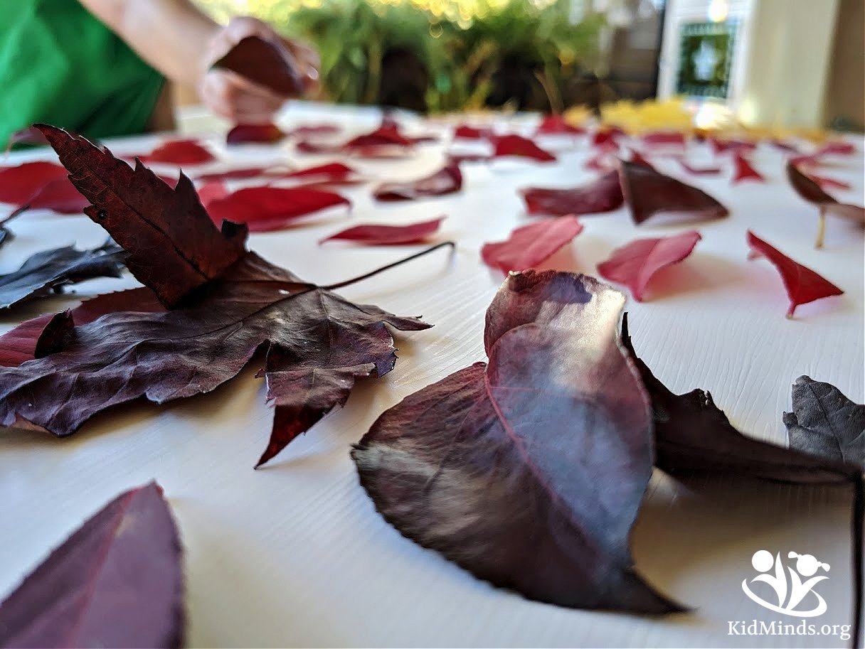 How to Make an Easy Fall Leaf Garland | KidMinds