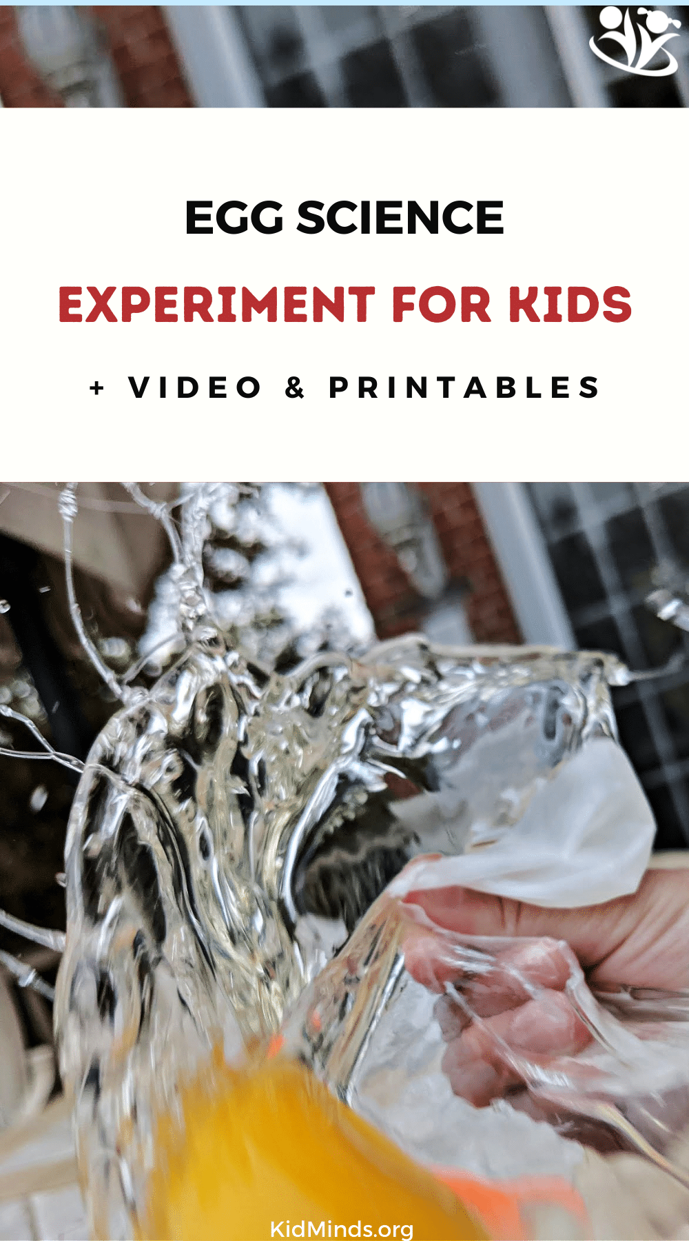 The Best Egg Science (With Lots of Free Printables) | KidMinds