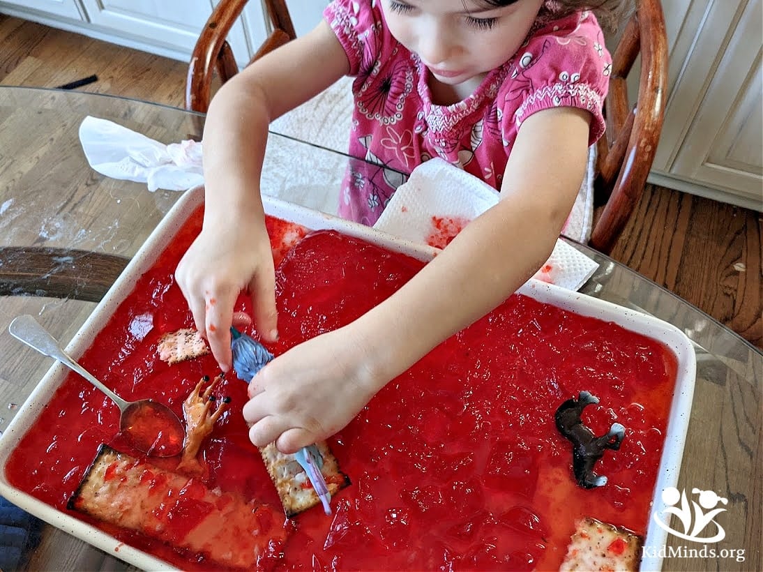 Simple Earthquake Science: Jello Plate Tectonics | KidMinds