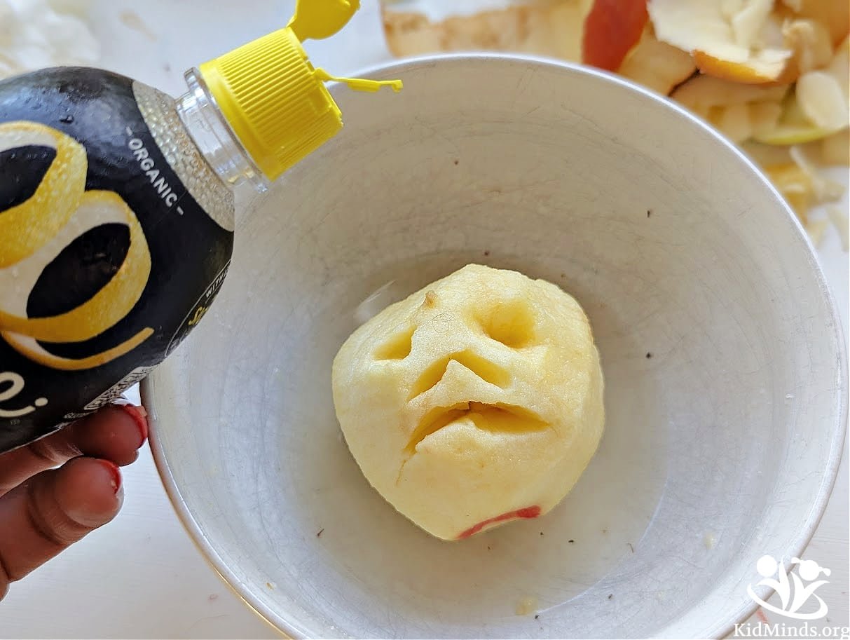 How to Make Shrunken Apple Heads | KidMinds