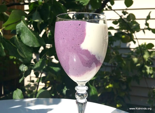 Brain Boosting Smoothie for Kids and their Parents | KidMinds