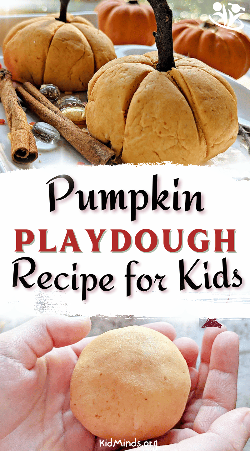 How to Make Pumpkin Playdough (2 Ingredients) | KidMinds