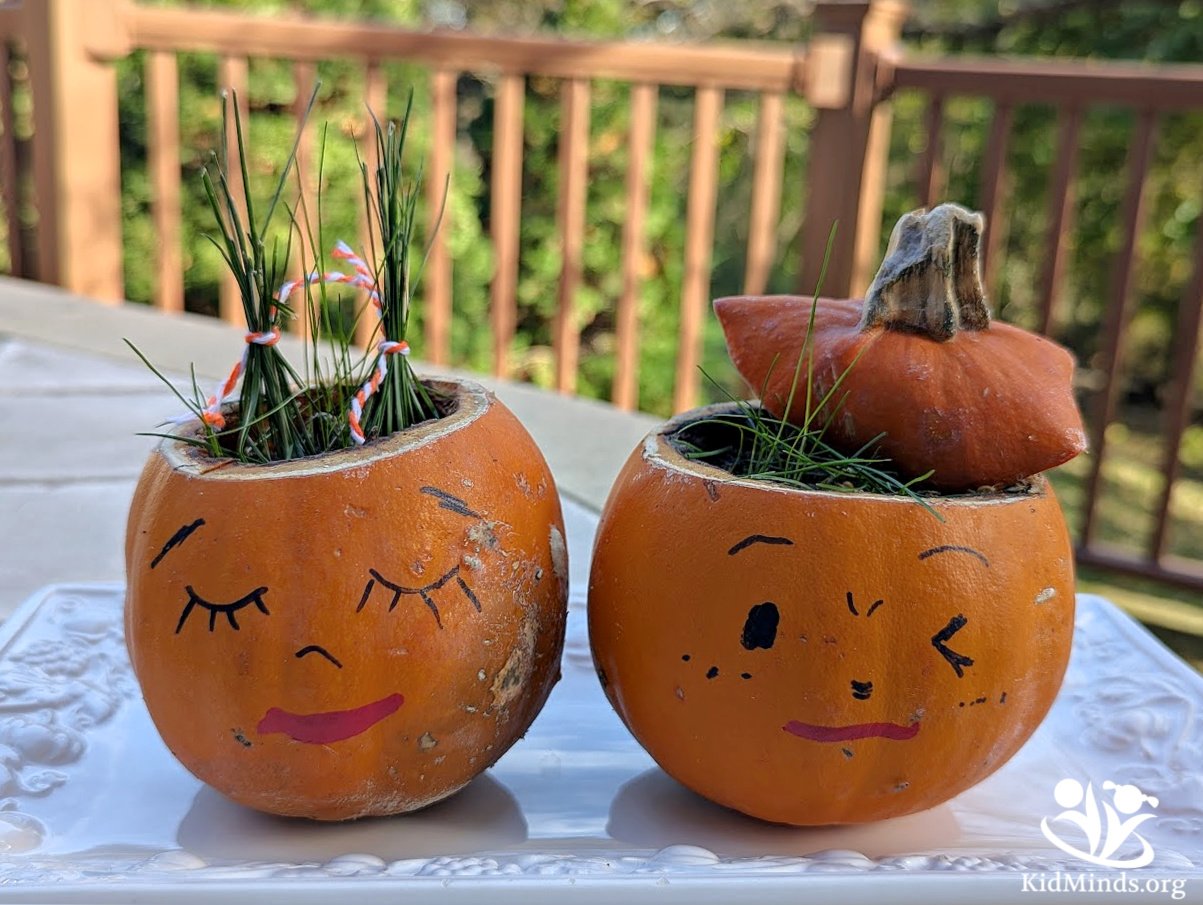 How to Grow Grass In Pumpkins (Free PDF) | KidMinds