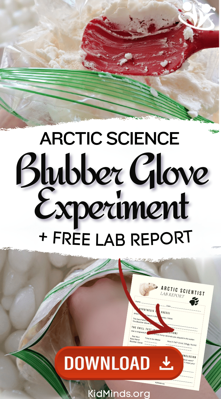 How to Make a Blubber Glove: Science + Free PDF | KidMinds