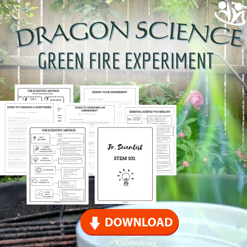 Dragon Science Experiment: How to Make Green Fire | KidMinds