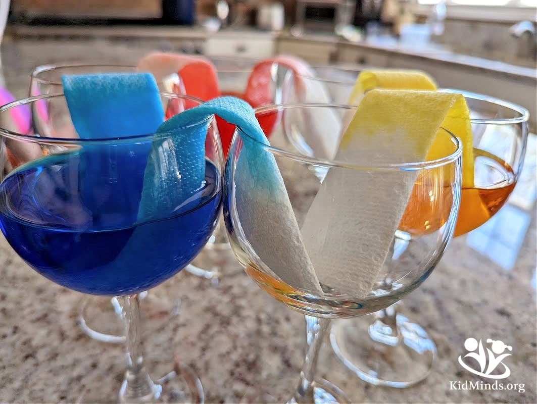 How to Make Rainbow Walking Water With Kids | KidMinds