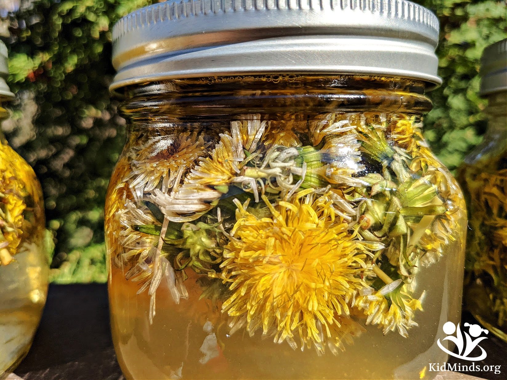 The Best Flower Science Experiment (Free PDF) | KidMinds