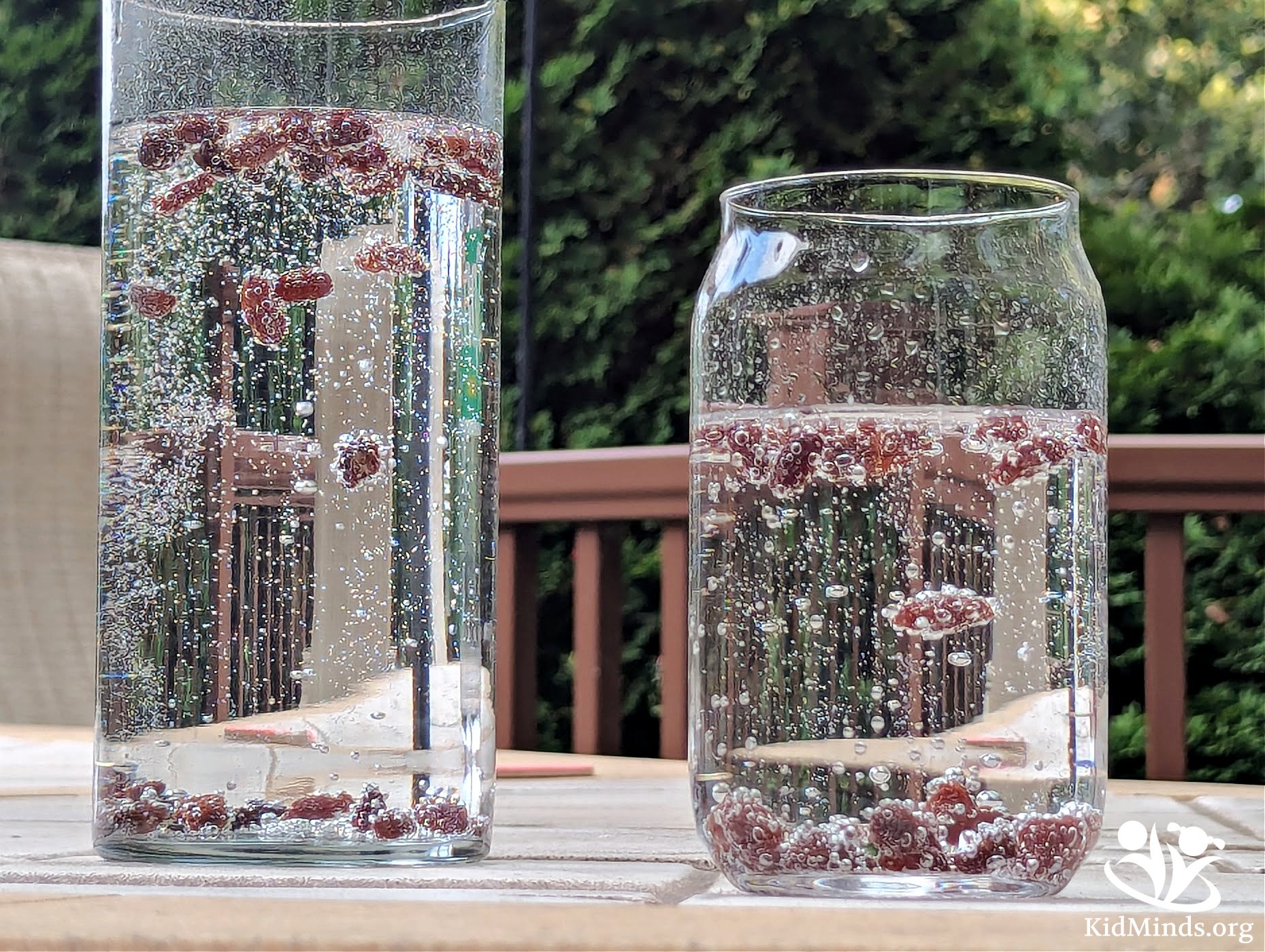 How to Make Raisins Dance (Free Science PDF) | KidMinds