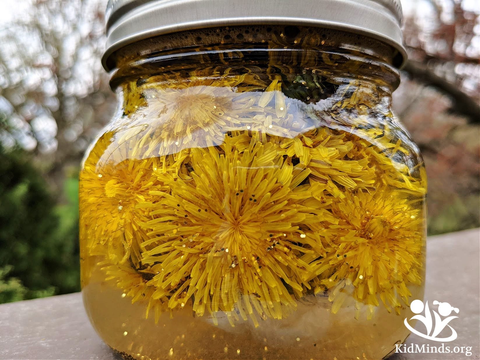 The Best Flower Science Experiment (Free PDF) | KidMinds