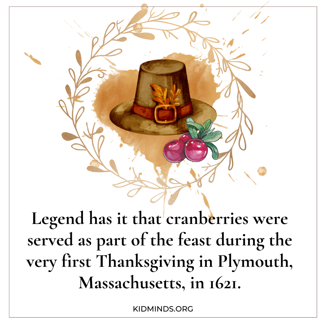 The Best Cranberry Jokes and Facts (Free PDF) | KidMinds