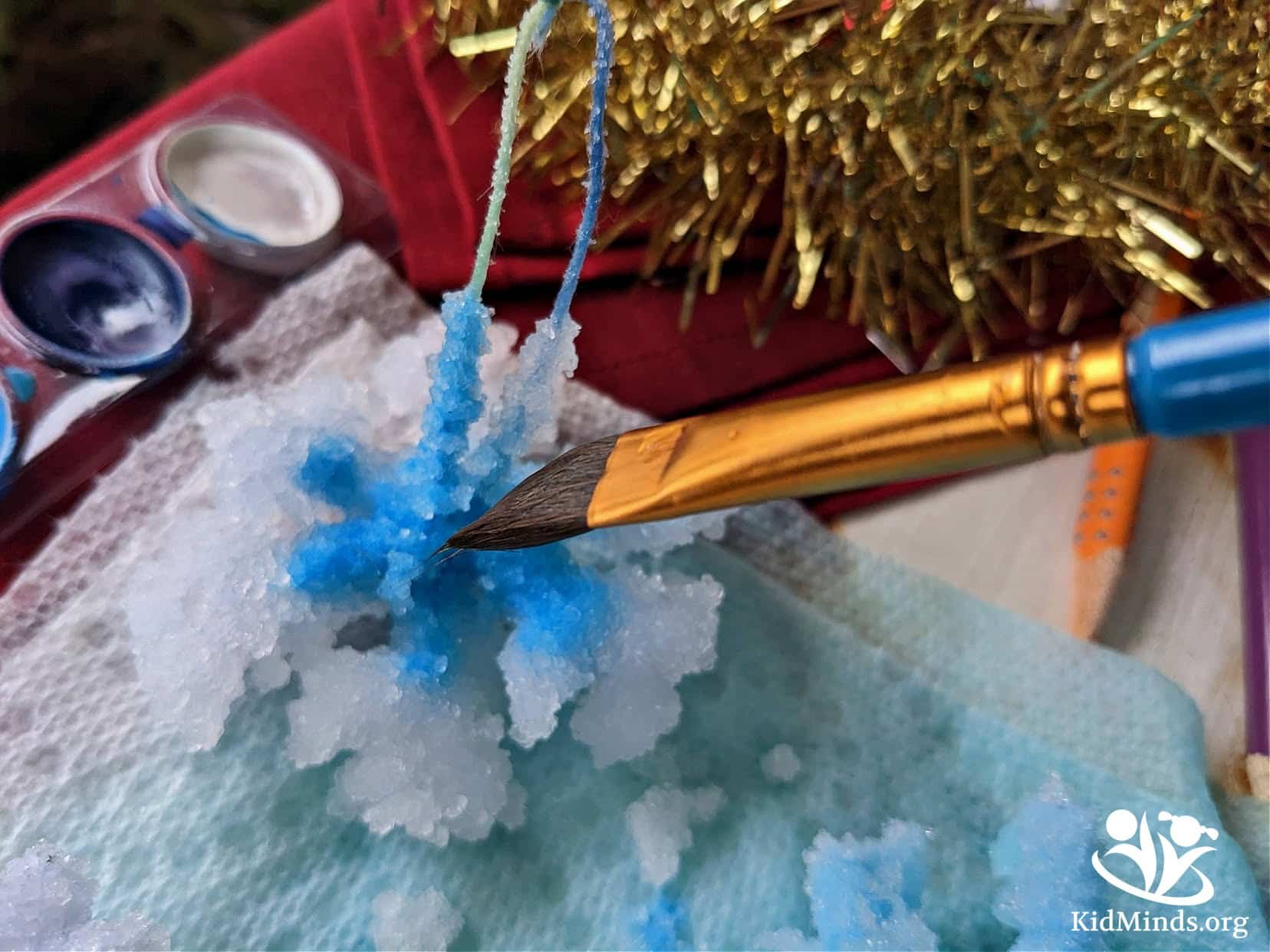 How to Make Crystal Snowflakes from Borax | KidMinds