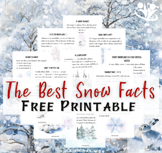 The Best Snow Facts for Kids (Free PDF) | KidMinds