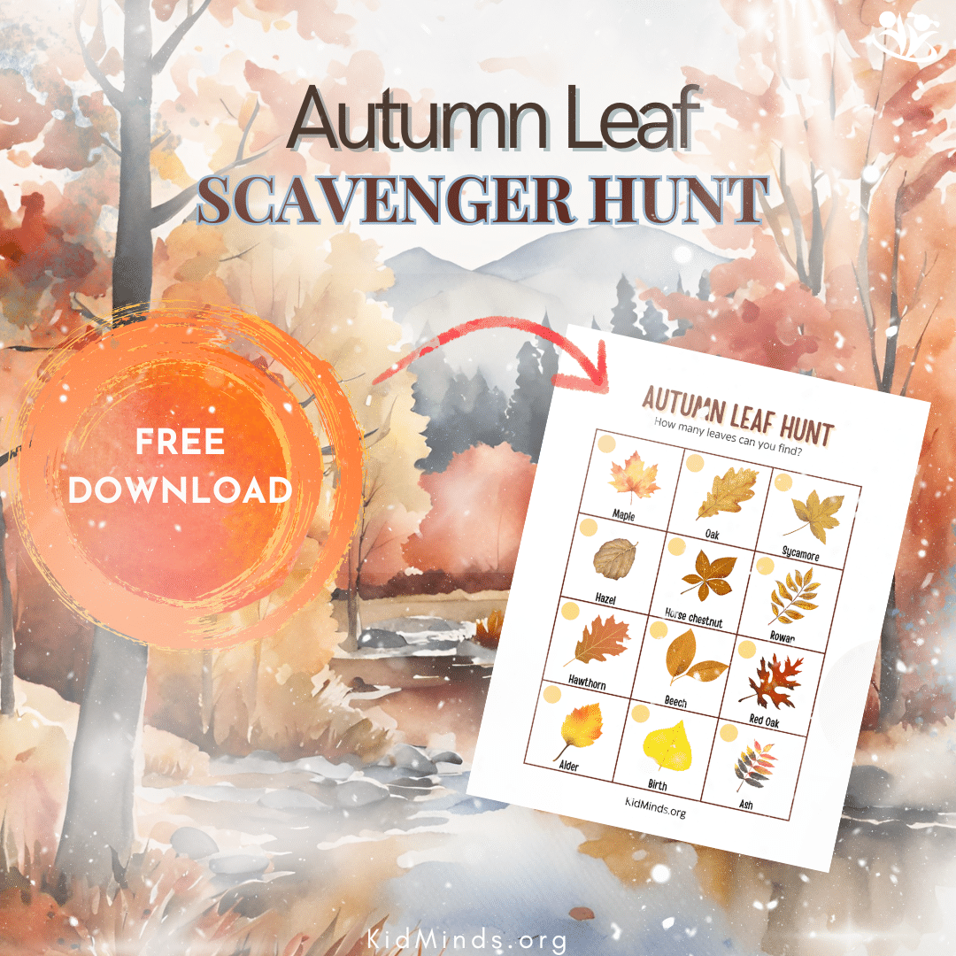The Best & Most Exciting Leaf Hunt (Free) | KidMinds