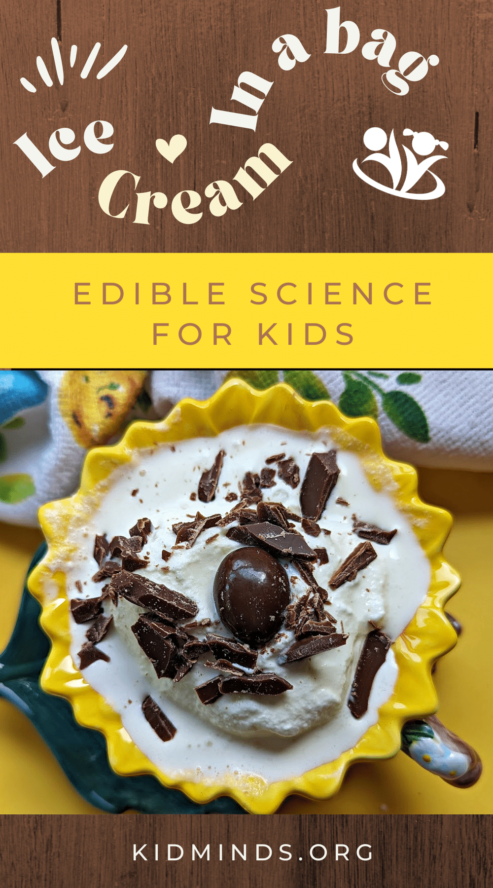 How to Make Ice Cream in a Bag (Edible Science) | KidMinds