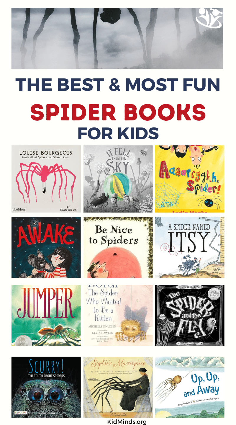 Spiders: The Best and Most Beautiful Books | KidMinds