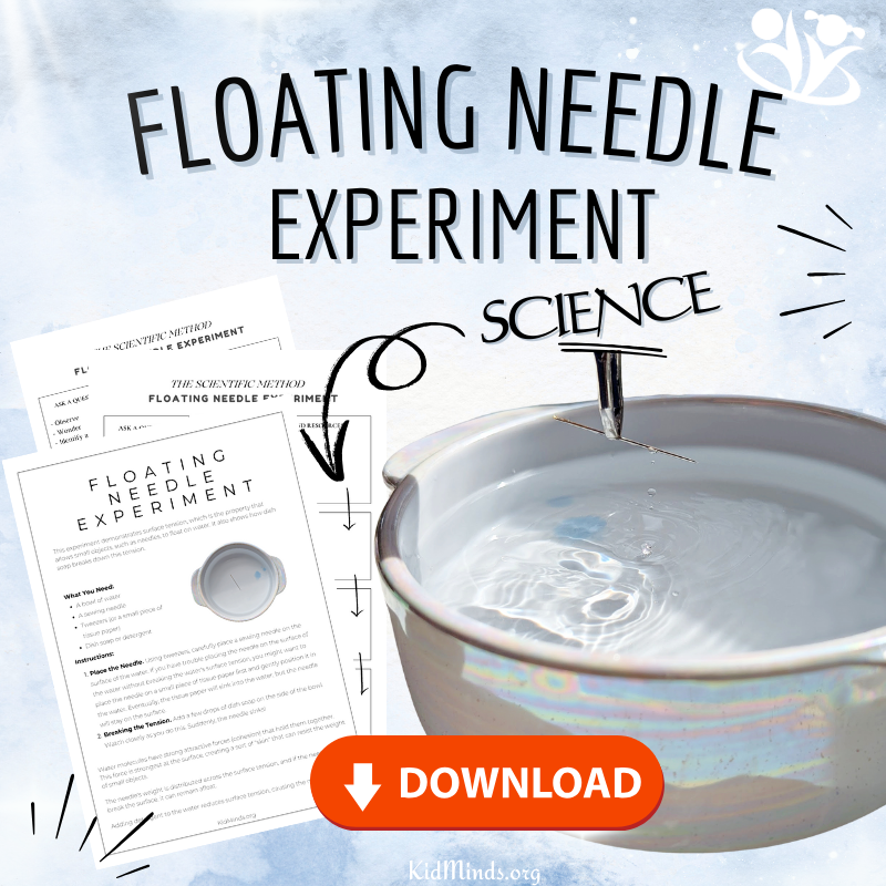 How to Make a Floating Needle Sink (Free PDF) | KidMinds