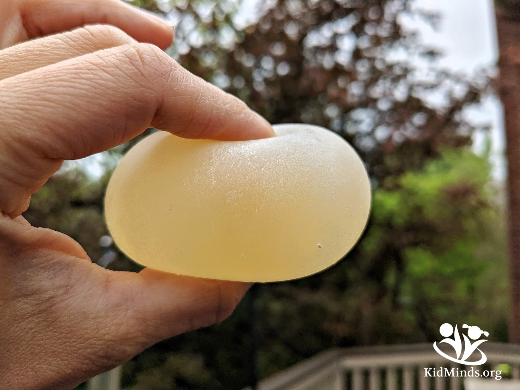 The Best Egg Science (With Lots of Free Printables) | KidMinds