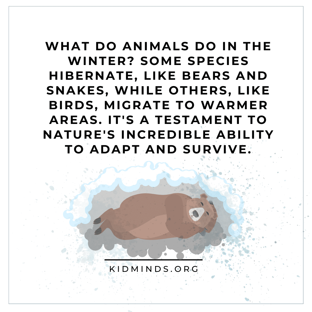 The Best Facts About Winter for Kids (Free Printable) | KidMinds