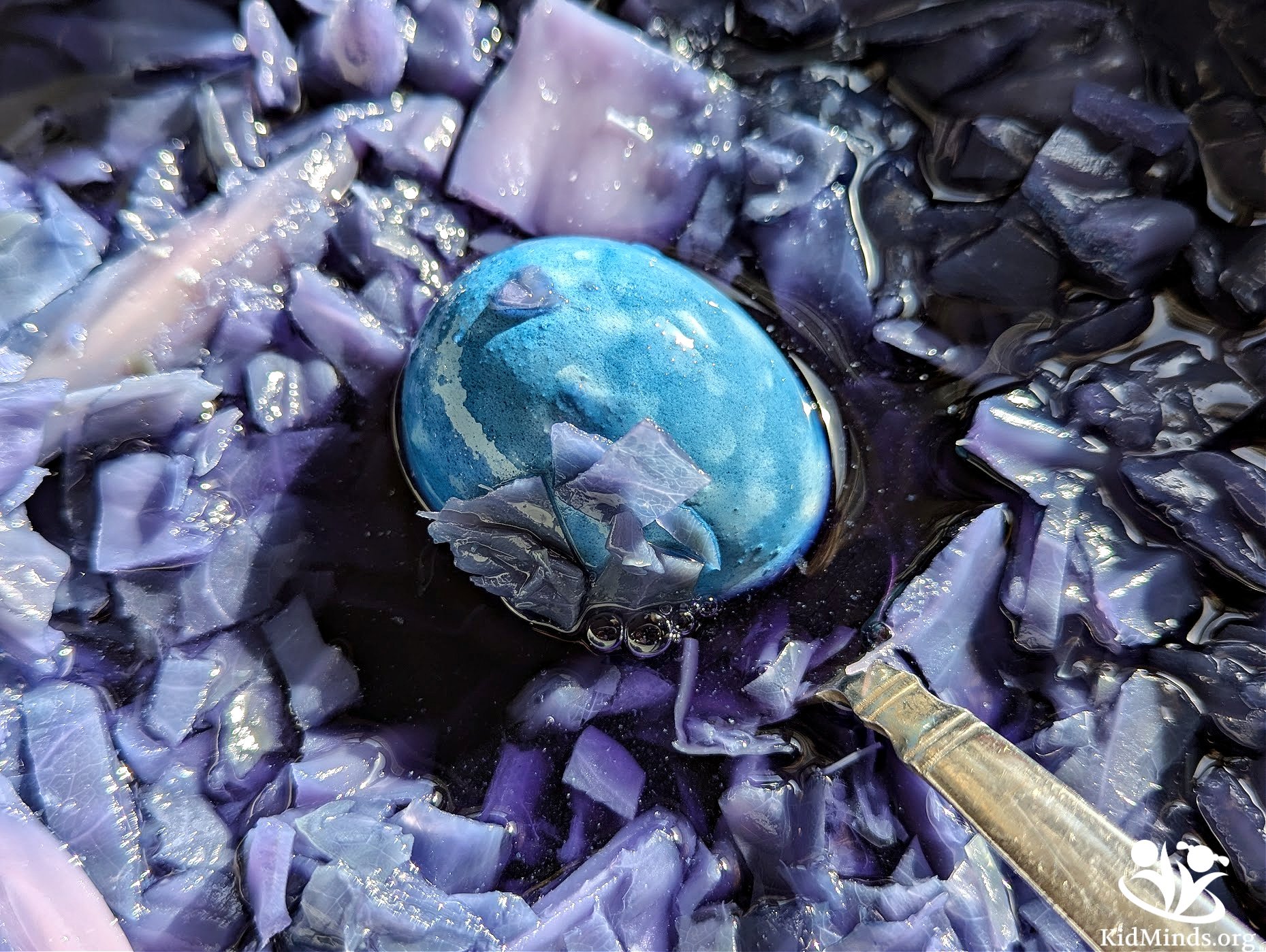 The Best Easter Egg Dye: Red Cabbage (Free PDF) | KidMinds