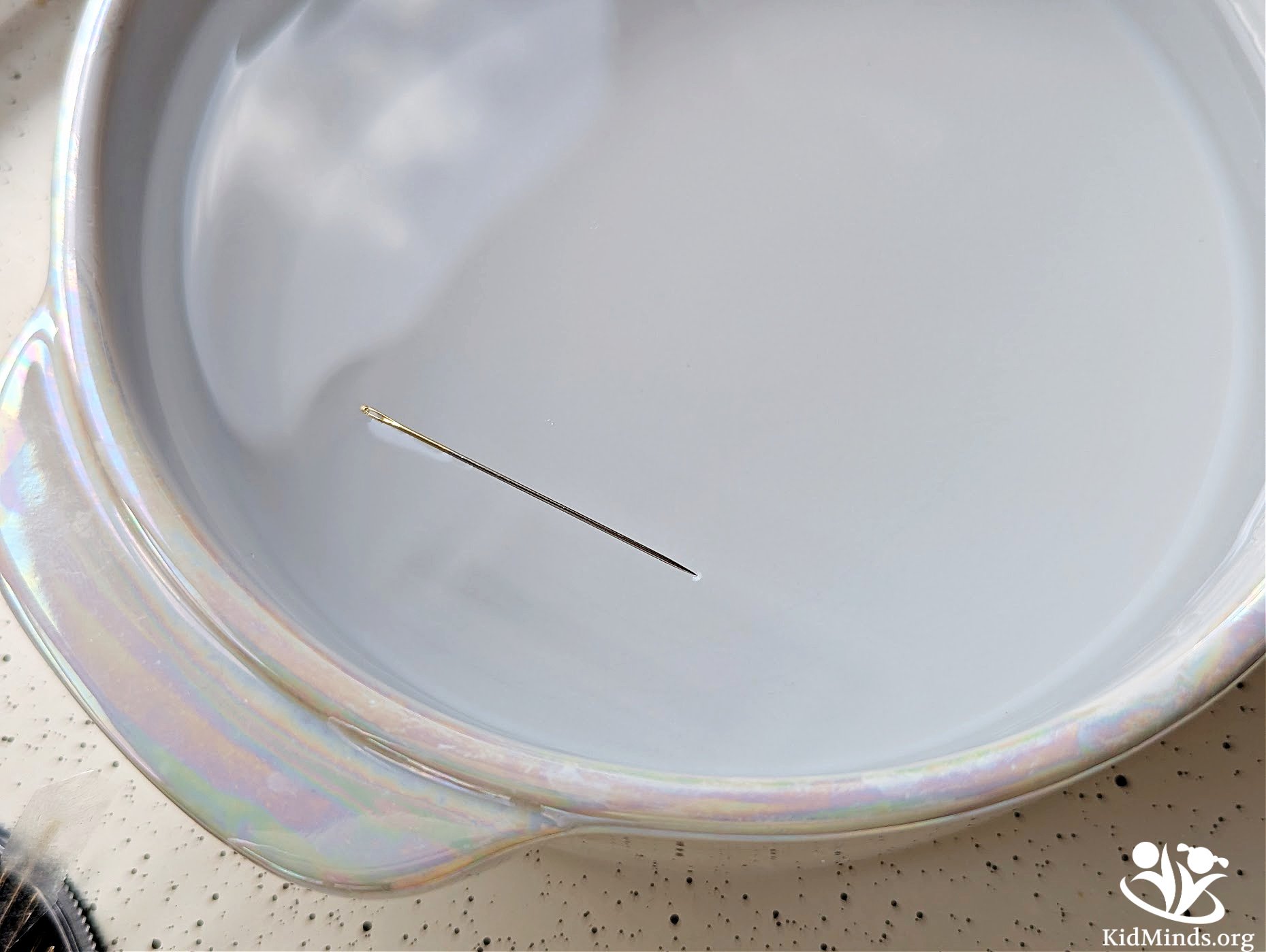 How to Make a Floating Needle Sink (Free PDF) | KidMinds