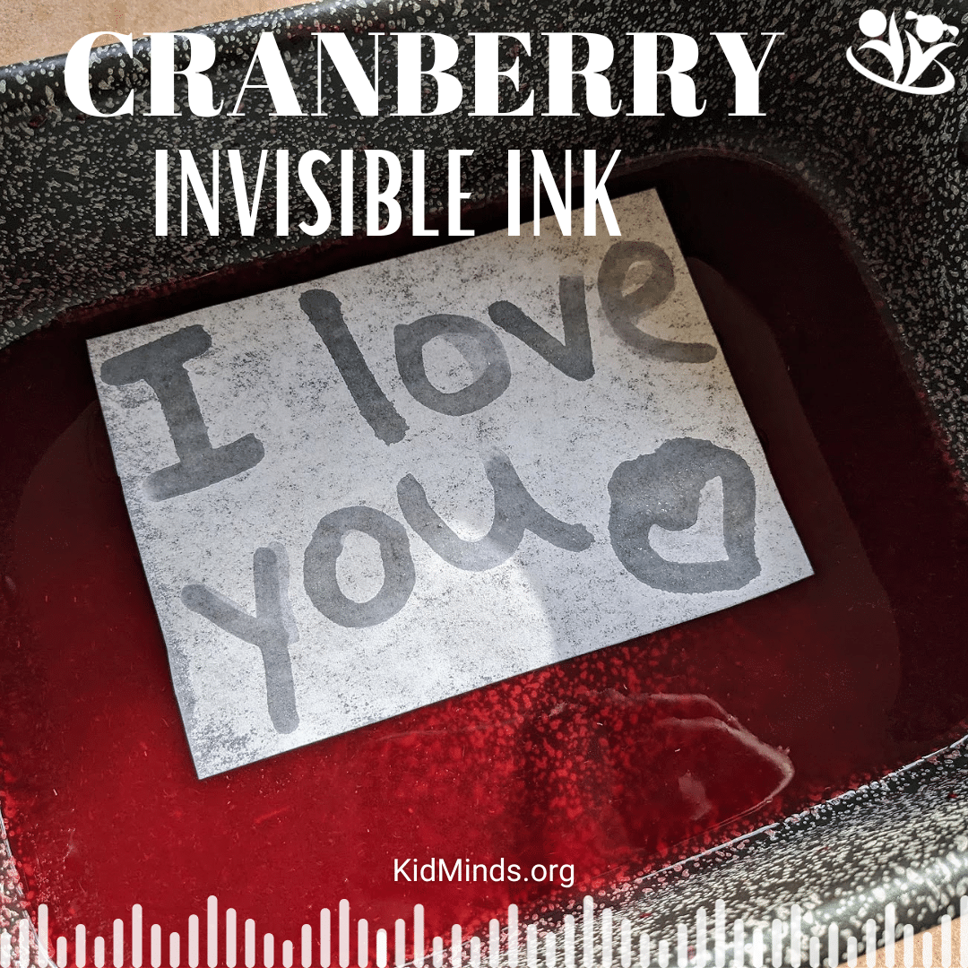 The Best and Most Exciting Thanksgiving Science | KidMinds