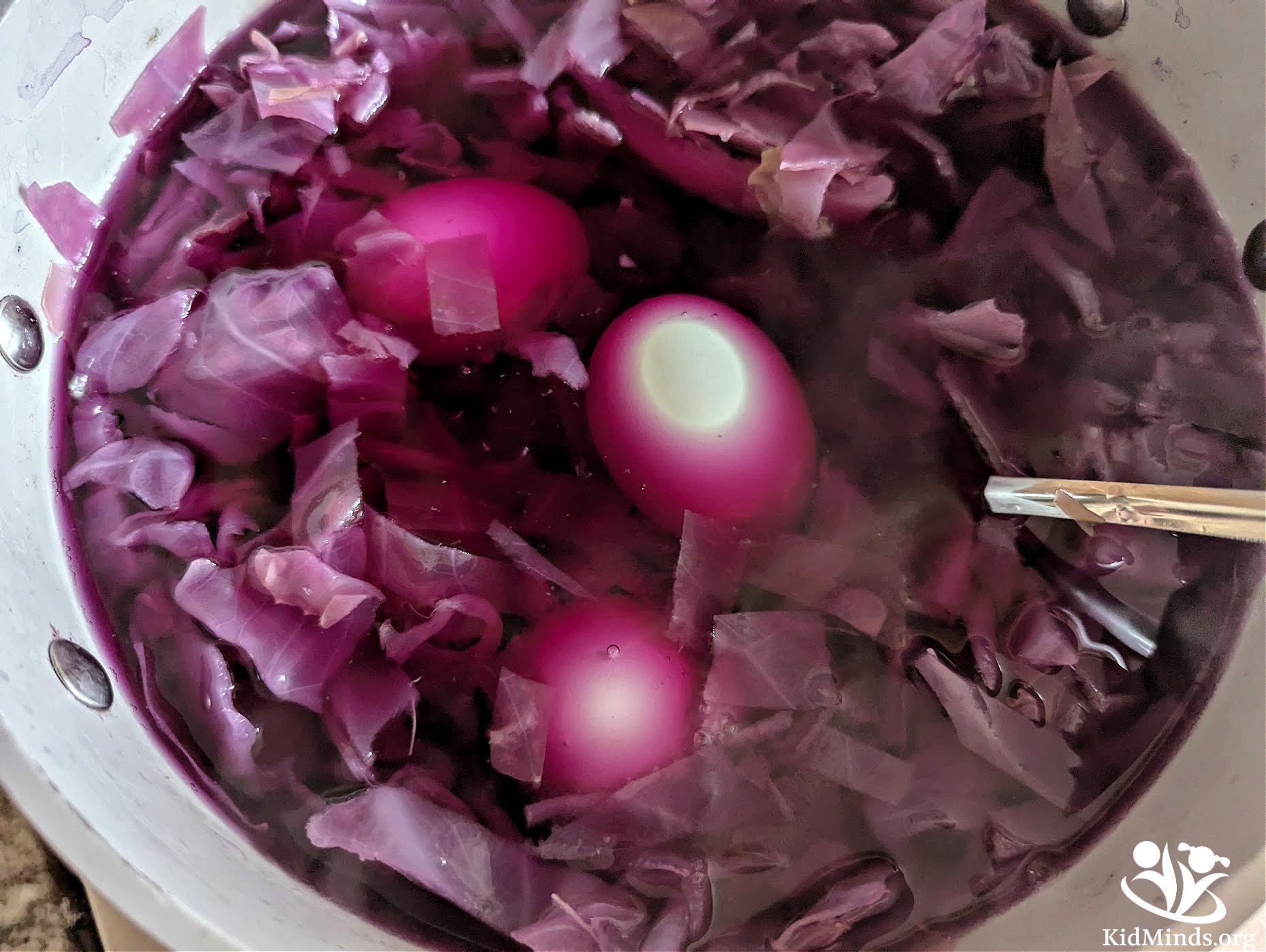The Best Easter Egg Dye: Red Cabbage (Free PDF) | KidMinds