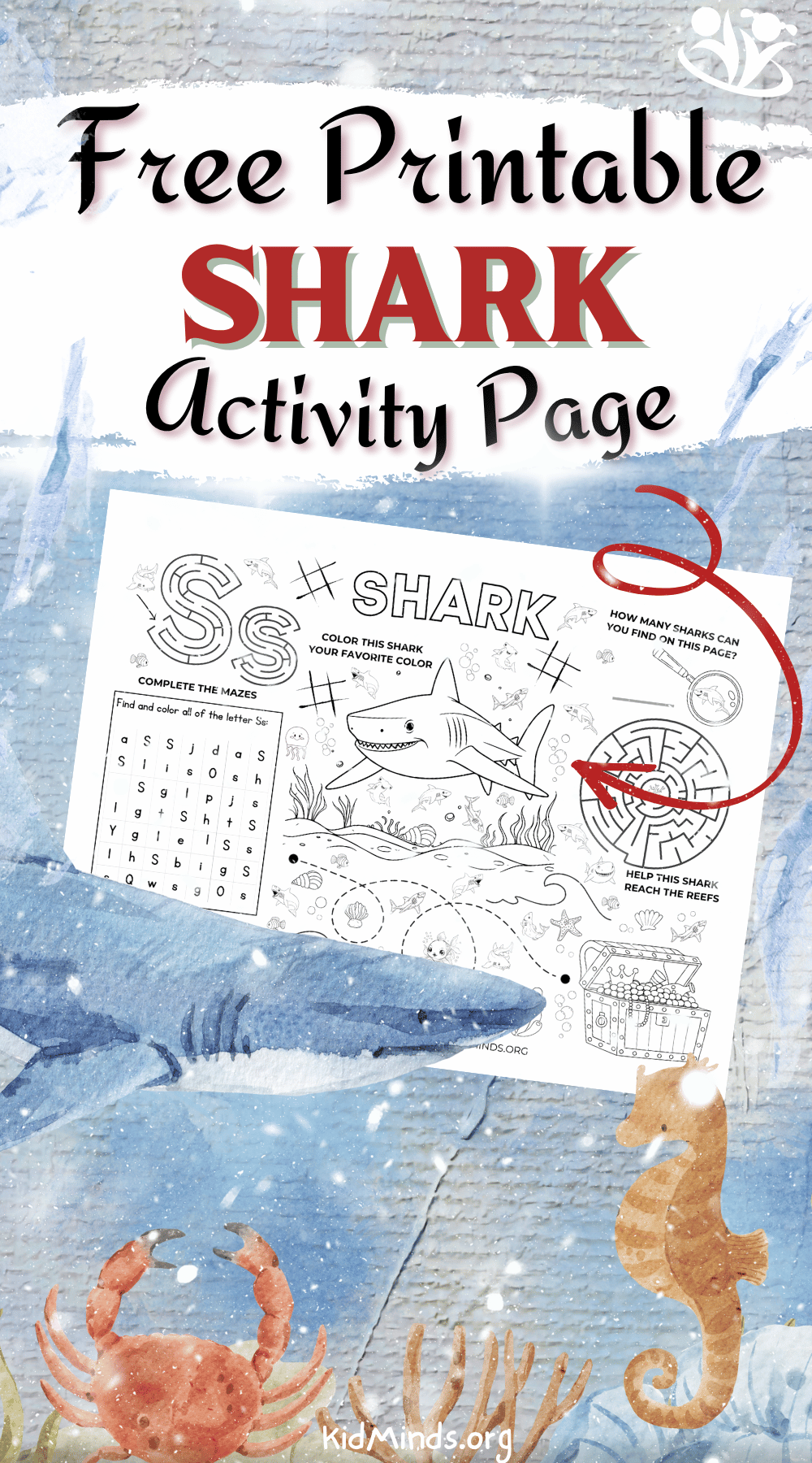 The Best Shark Activity Page for Kids (Free PDF) | KidMinds