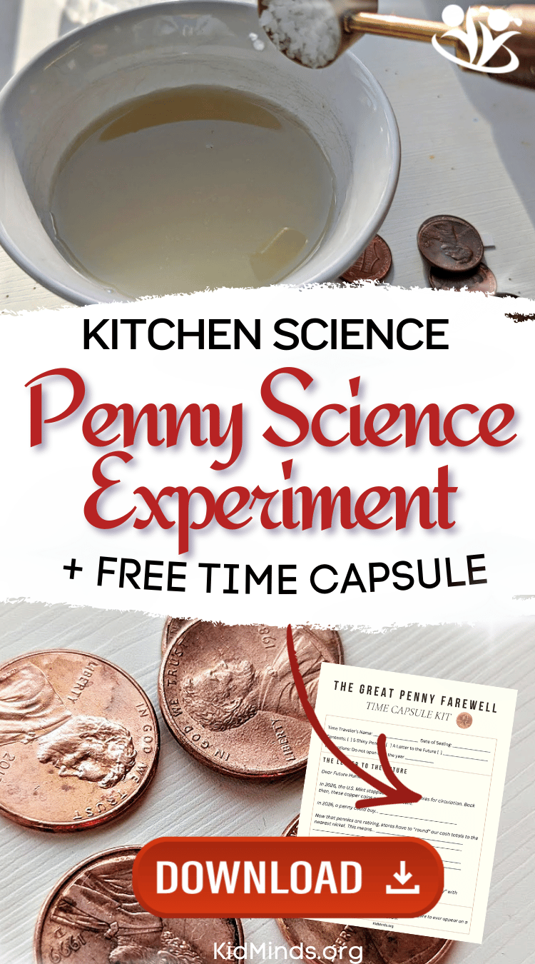 How to Make a Penny Shine with Kitchen Magic | KidMinds