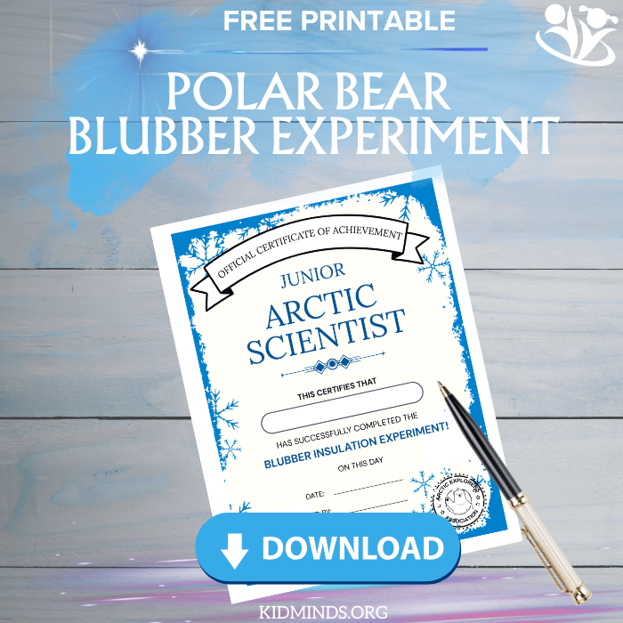 How to Make a Blubber Glove: Science + Free PDF | KidMinds