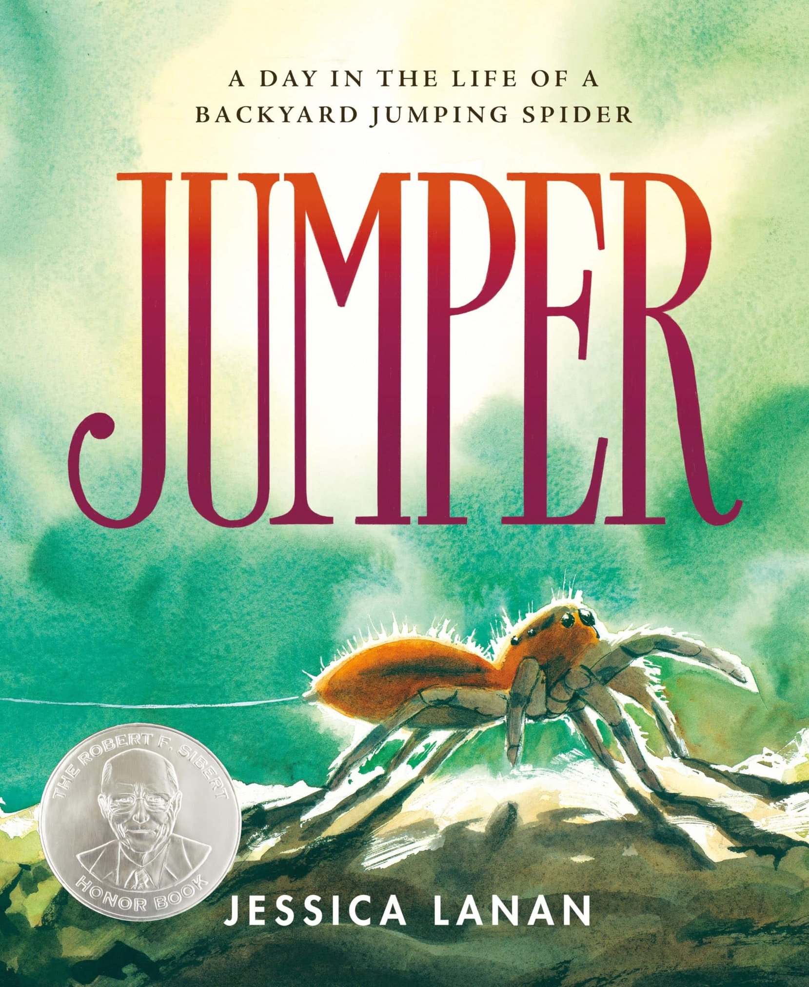 Spiders: The Best and Most Beautiful Books | KidMinds