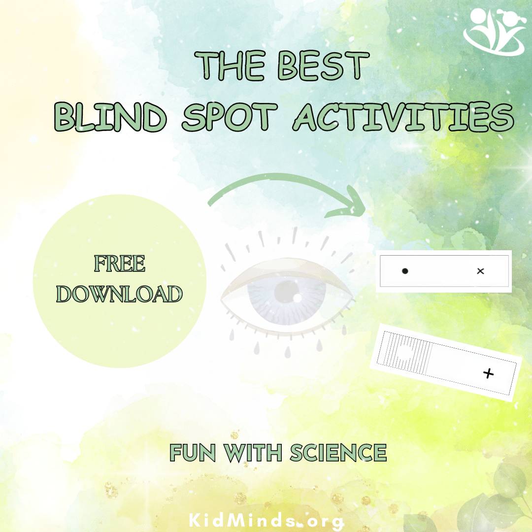 The Best & Most Exciting Blind Spot Experiments | KidMinds