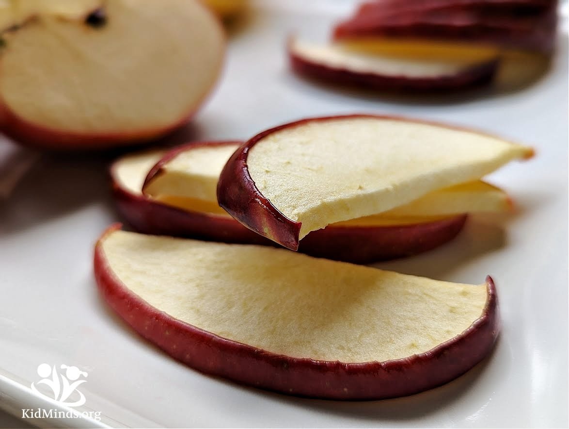 The Best and Most Amazing Apple Science | KidMinds