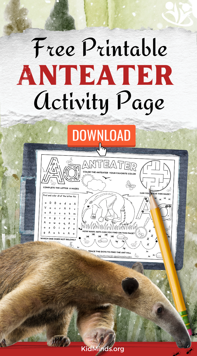 The Best Anteater Activity Page for Kids (Free) | KidMinds