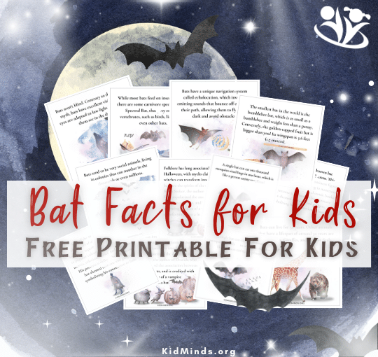 The Best Bat Facts for Kids (Free Printable) | KidMinds