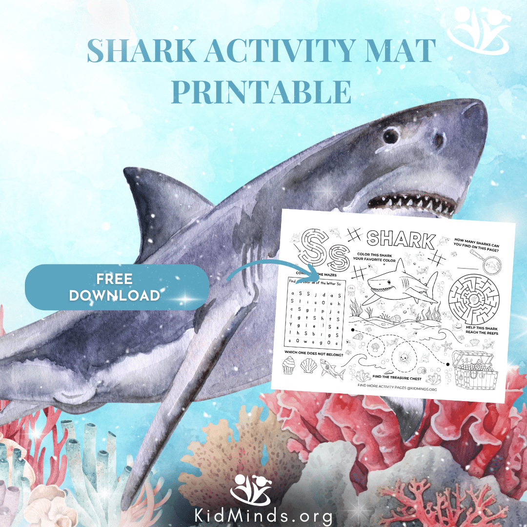 The Best Shark Activity Placemat for Kids (Free) | KidMinds