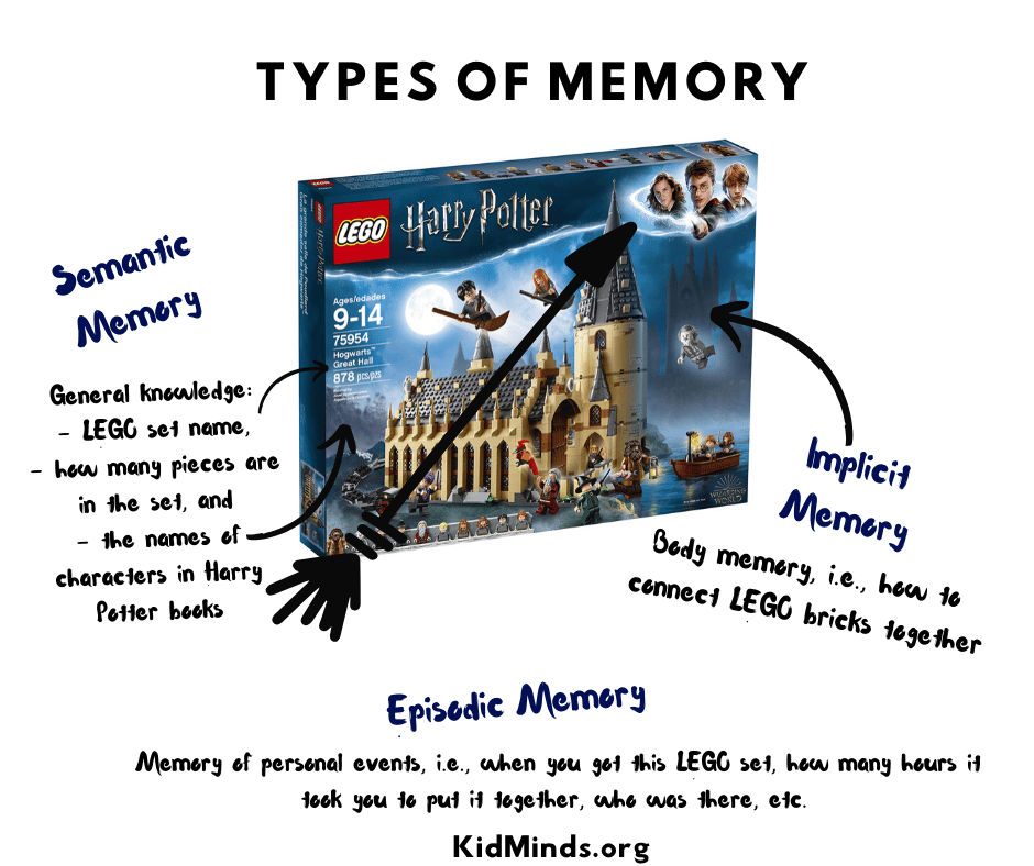What Your Kids Need to Know About Memory and How You Can Teach It Using ...