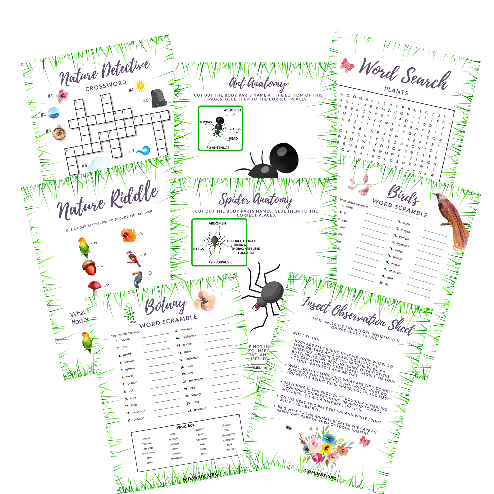 Nature Detectives Learning Pack | KidMinds