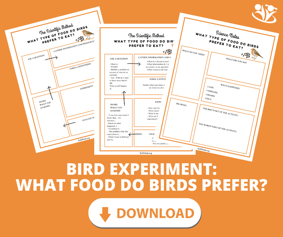 Exciting Bird Science: The Best Snacks for Birds | KidMinds