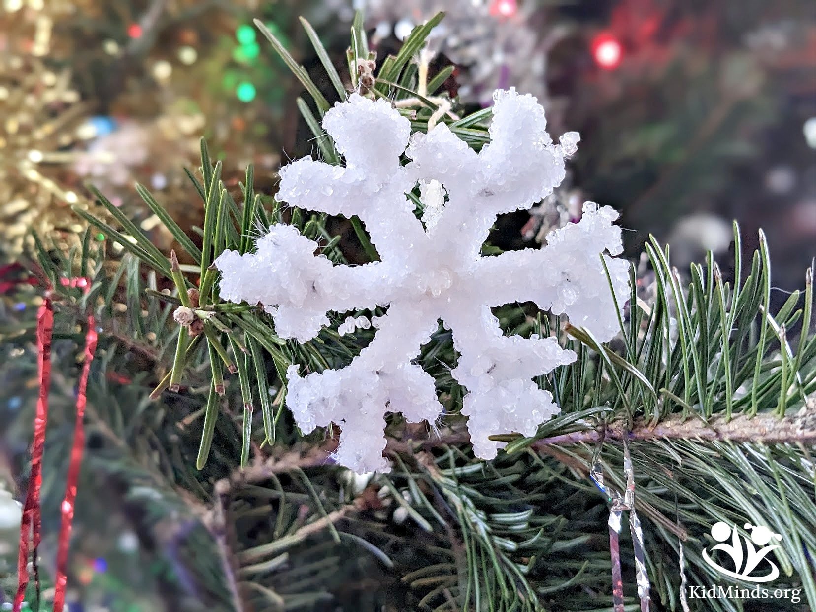 How to Make Crystal Snowflakes from Borax | KidMinds