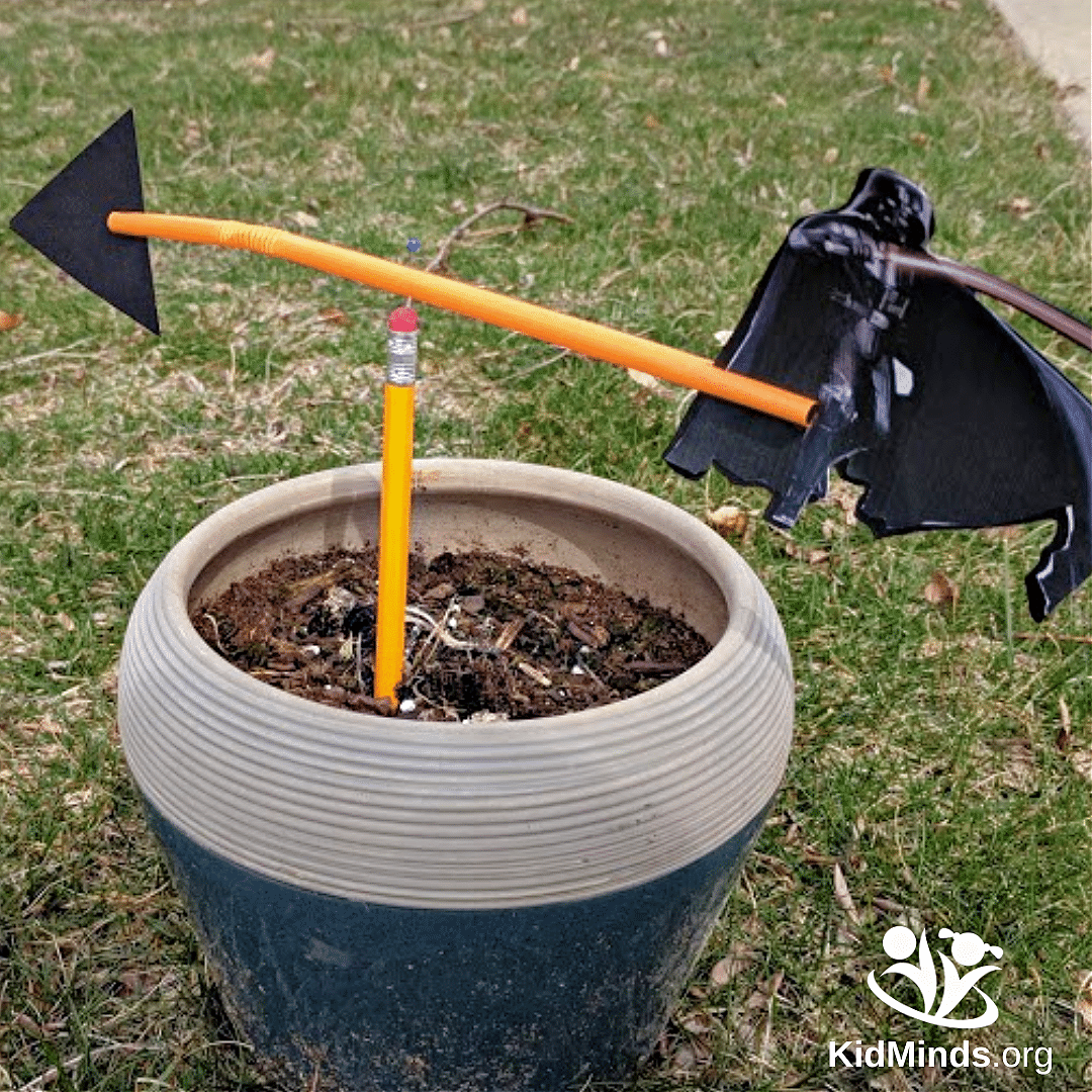 15 Easy Mind Blowing Science Activities to Do Outside | KidMinds