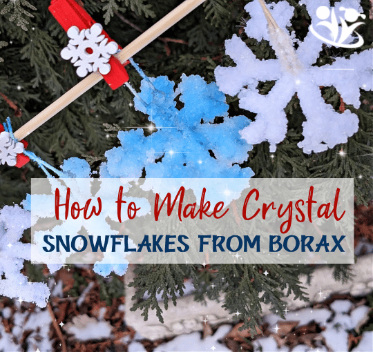 How to Make Crystal Snowflakes from Borax | KidMinds